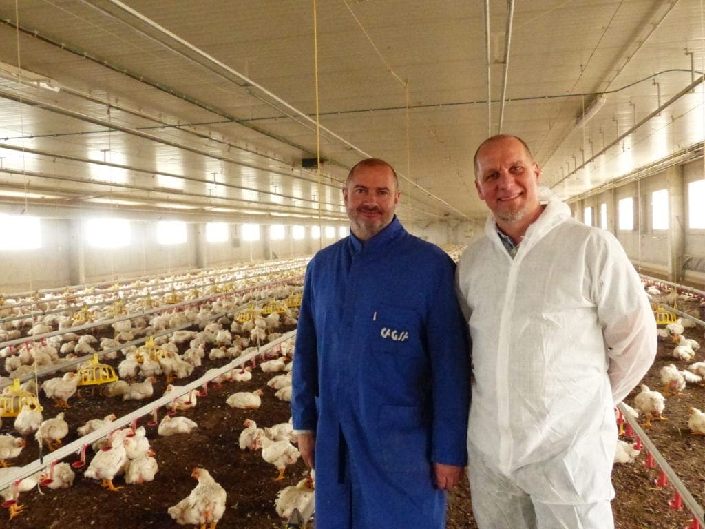 Un robot avícola que vigila a los pollos y los analiza | Industria Avícola