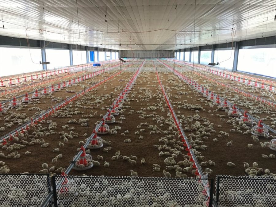 Acondesa y su adaptación al reto de producir en pandemia | Industria ...